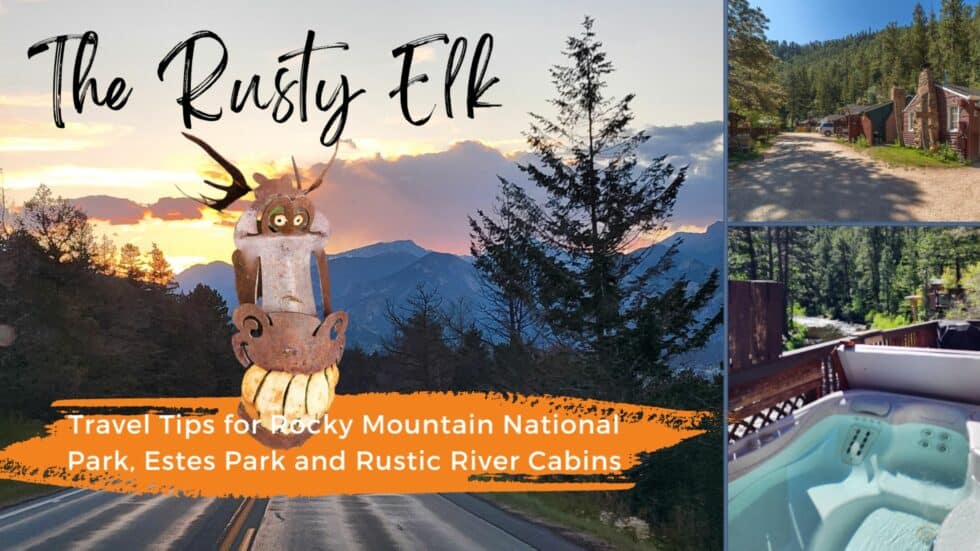 10 Must-Haves for a Happy Pup on Your Road Trip | Rustic River Cabins